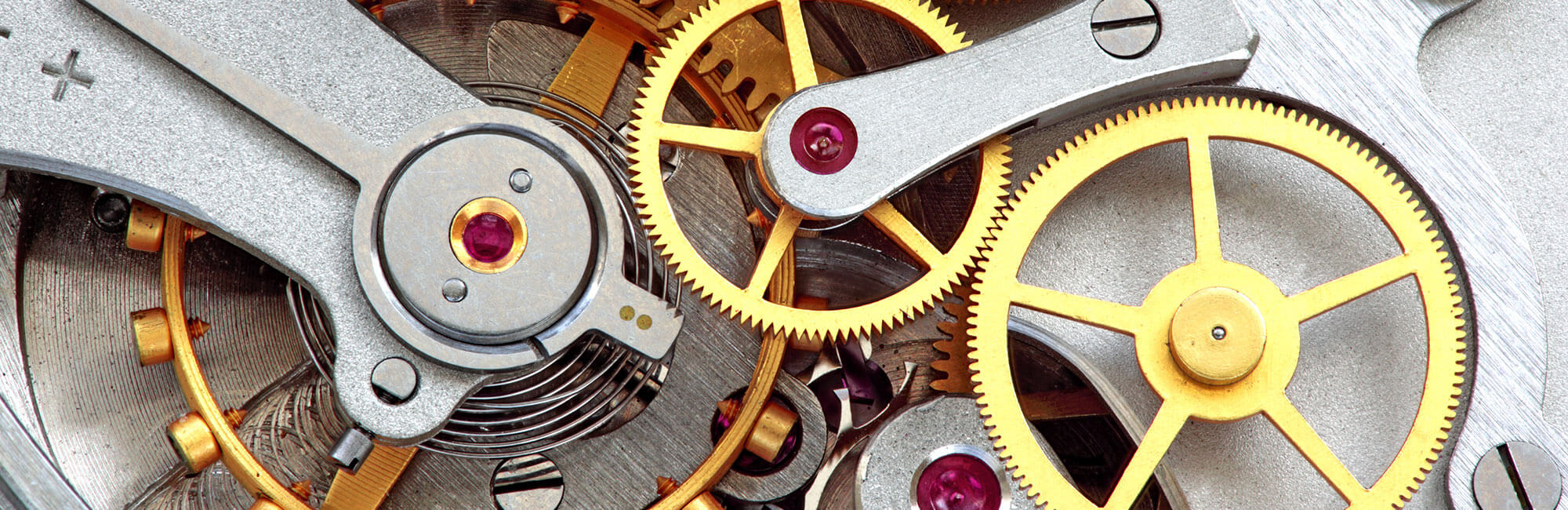 Complete Watch Overhaul